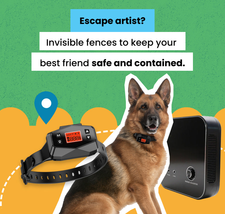 eDog NZ | Shop Dog Training Collars, Bark Collars, Fences & More